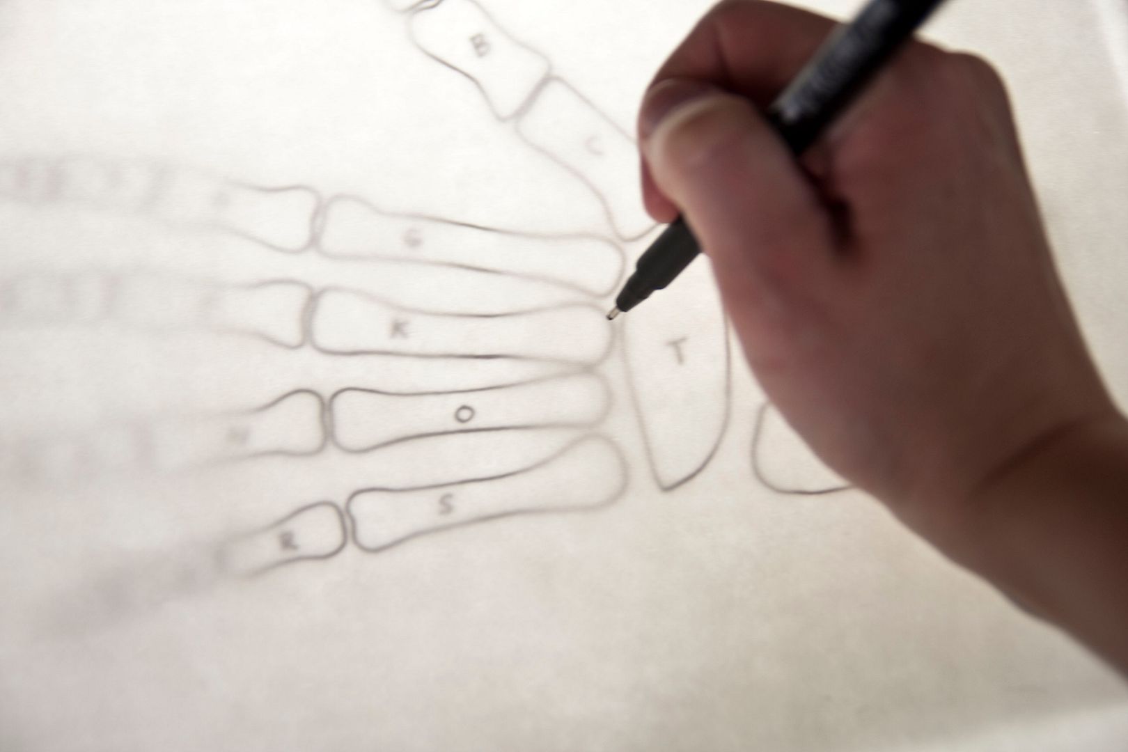 Skinny Bones Halloween Pillow - Honeybear Lane