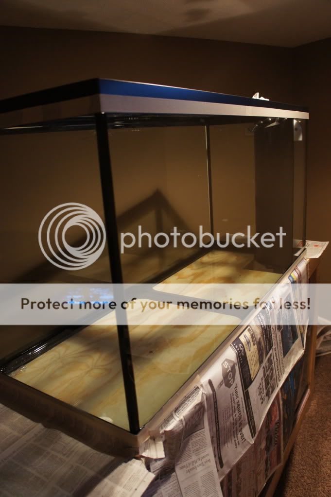 Dan's 90 gallon FOWLR build - Reef Central Online Community