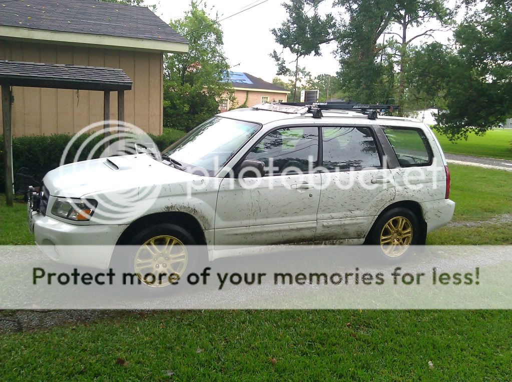 ('03-'05) - Rim color? | Subaru Forester Owners Forum